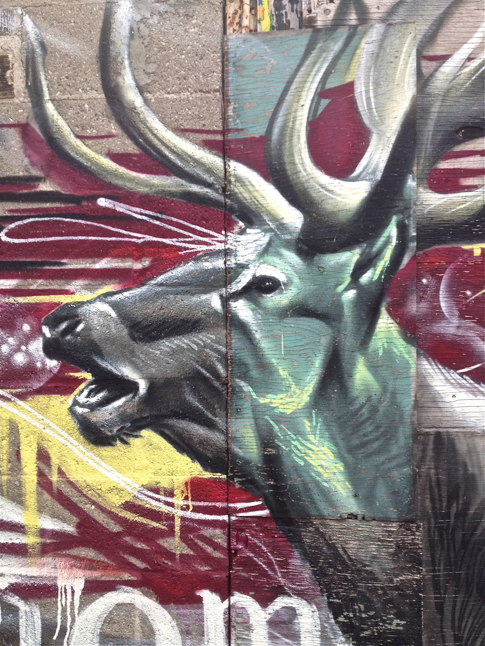 Rose & Red Stag – Graffiti Lux Art & More