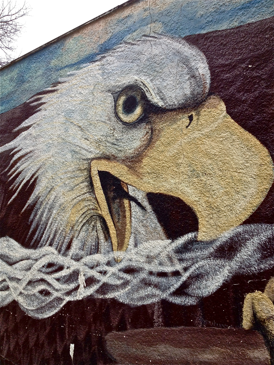 Eagle – Graffiti Lux Art & More