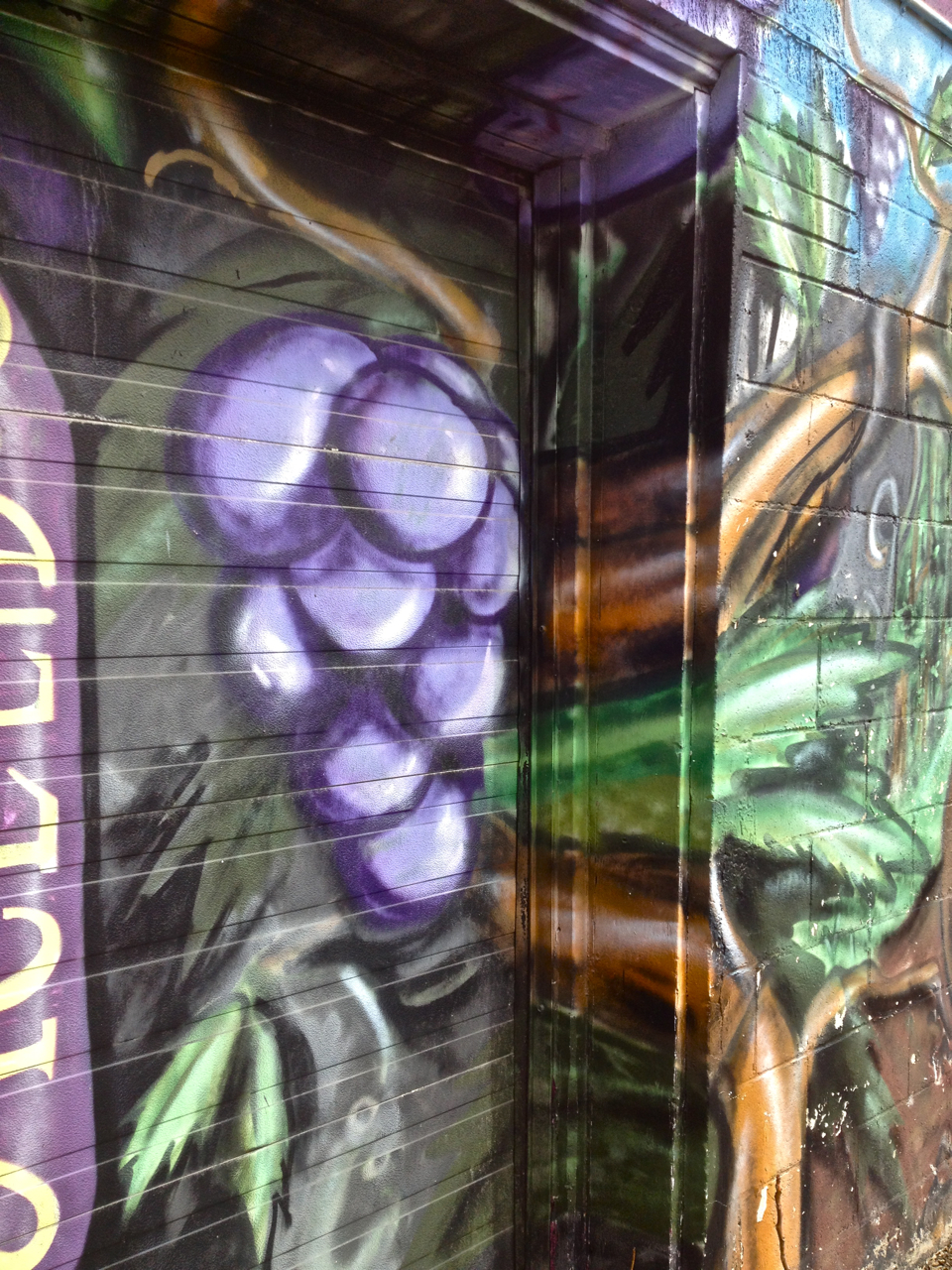 The Fruit Course – Graffiti Lux Art & More