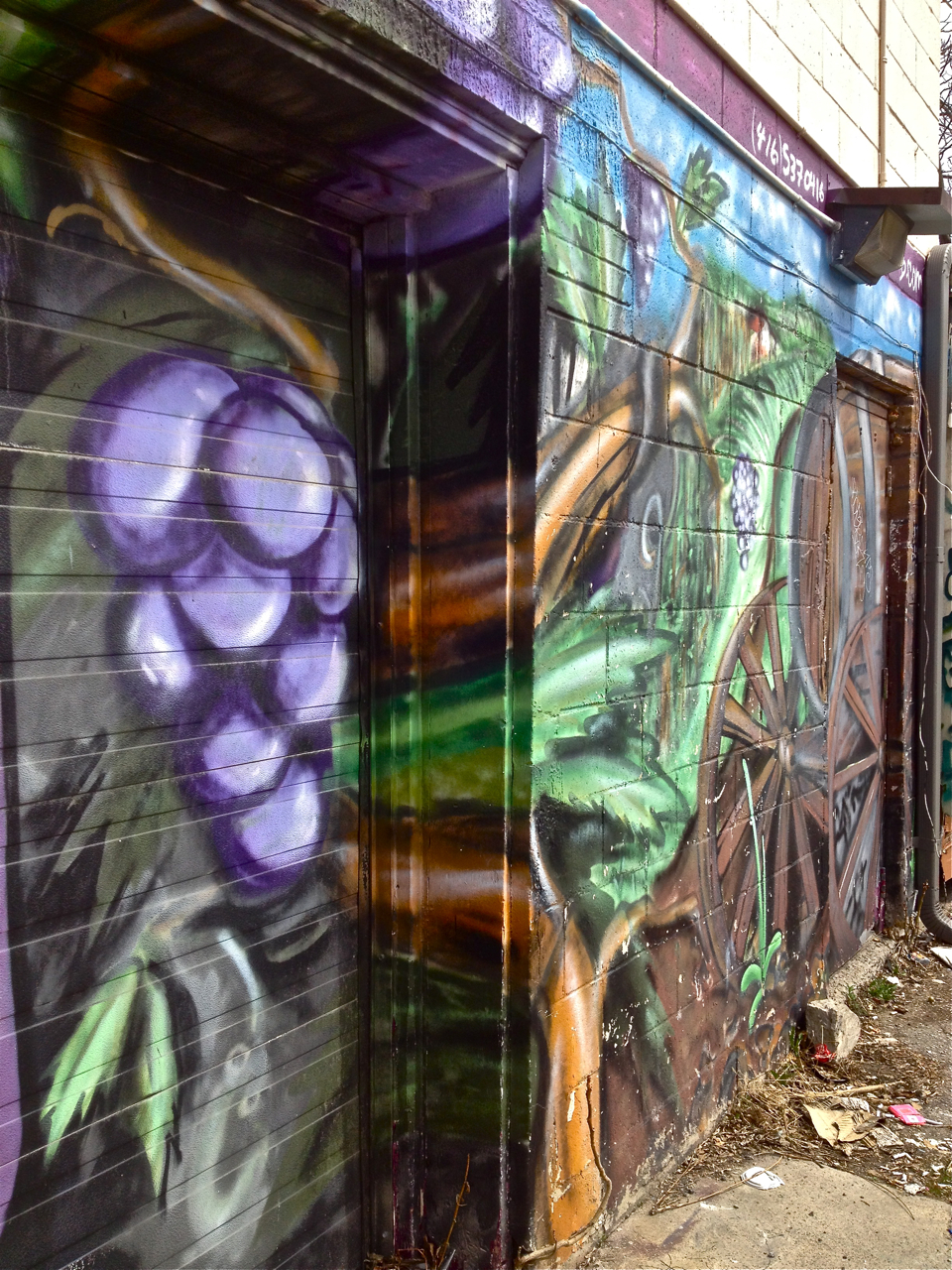 The Fruit Course – Graffiti Lux Art & More