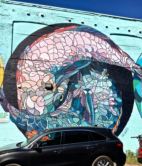 Family of Seals – Graffiti Lux Art & More