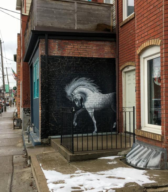 My Kingdom for a Horse – Graffiti Lux Art & More