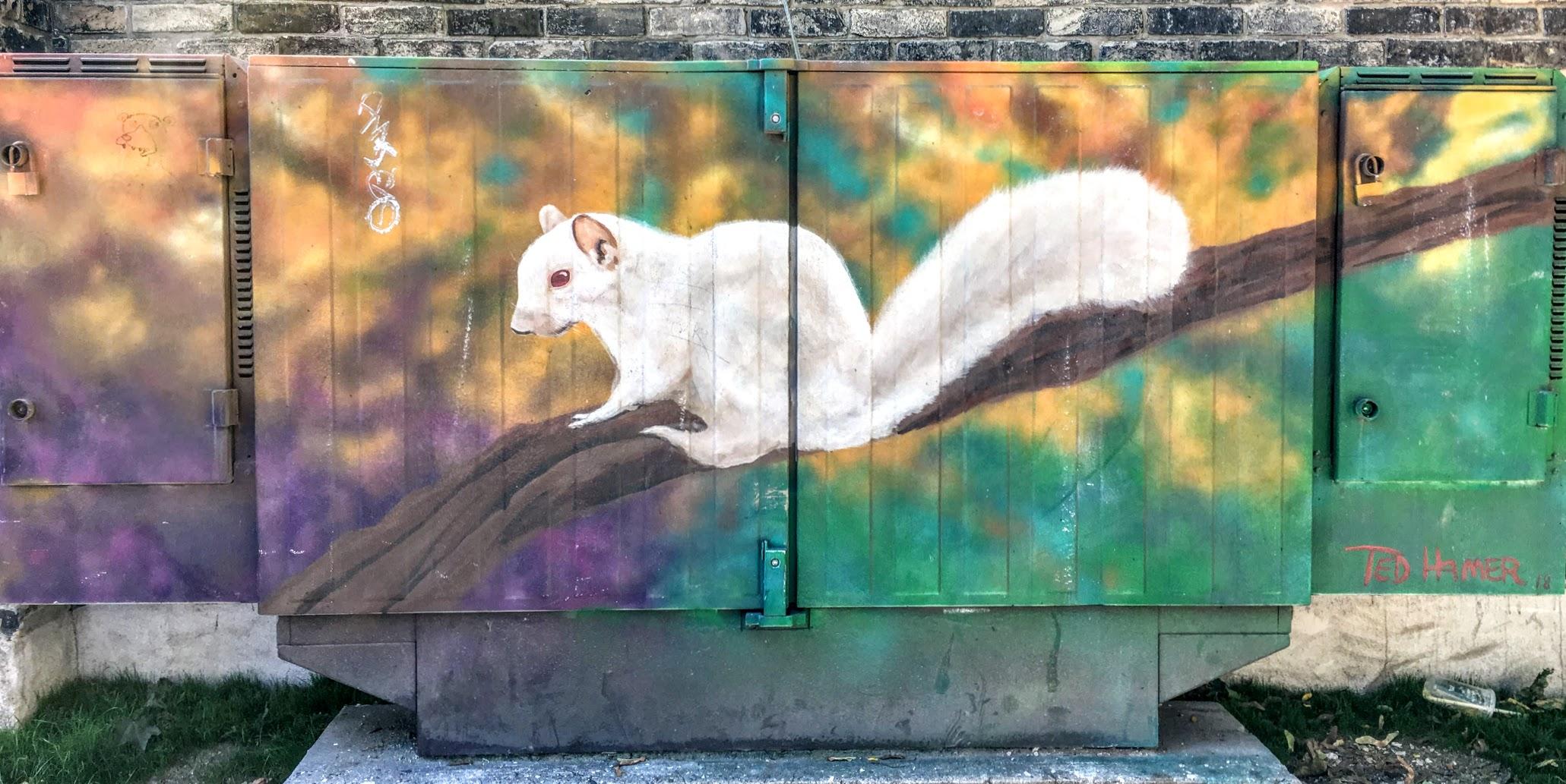 The White Squirrels – Graffiti Lux Art & More