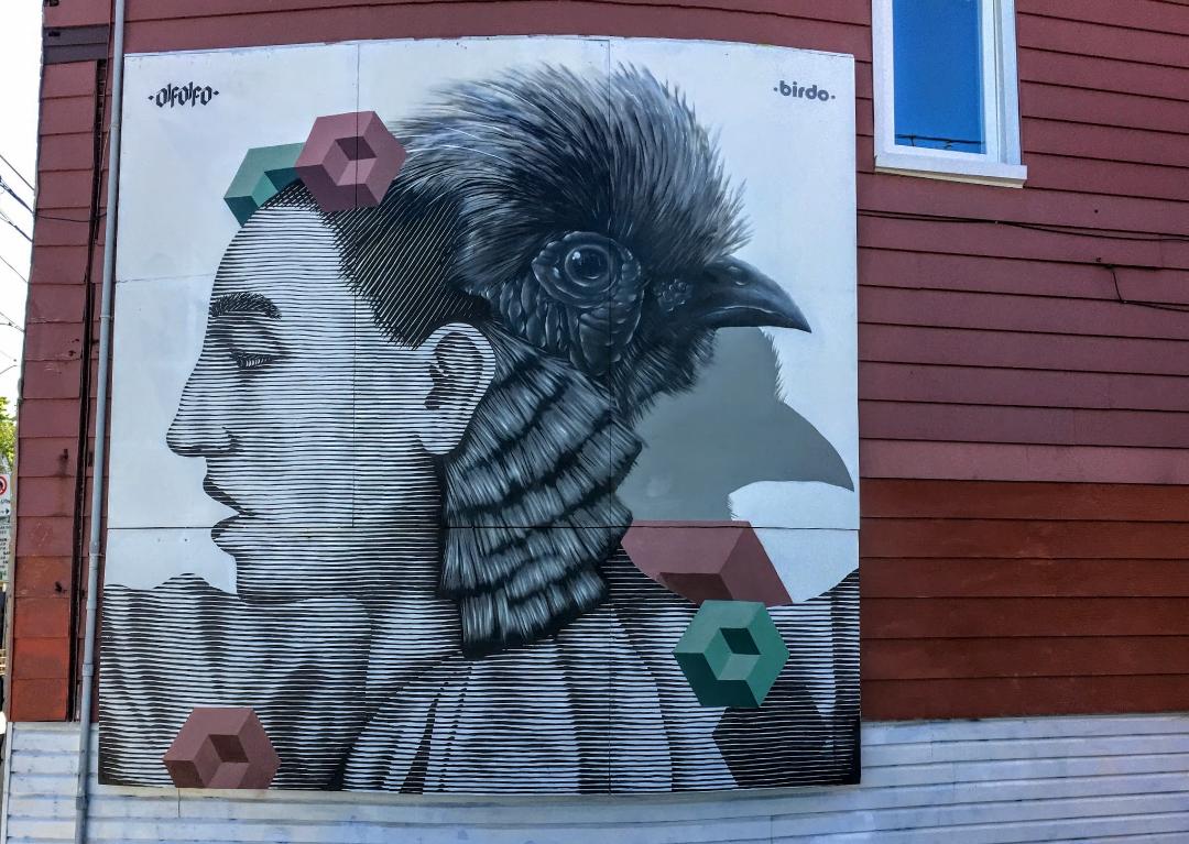 Birdo – Graffiti Lux Art & More