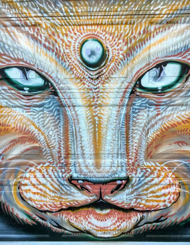 Cat’s Third Eye is a Gem – Graffiti Lux Art & More
