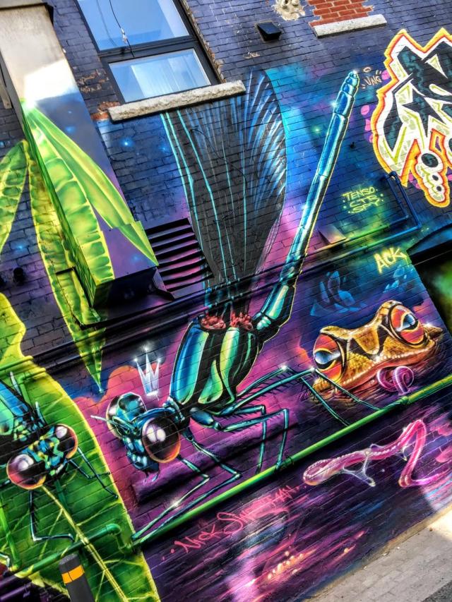 Resa In Wonderland – Graffiti Lux Art & More