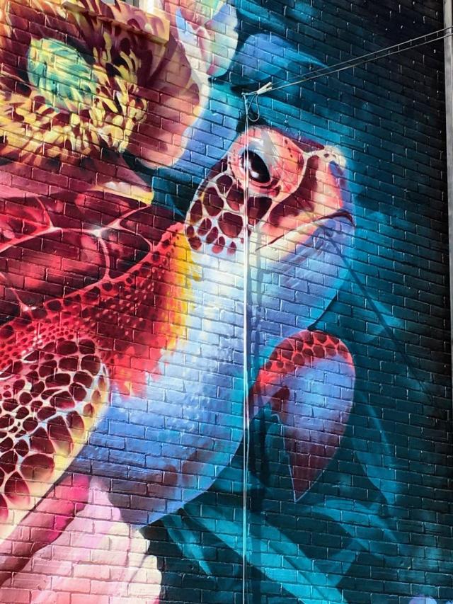 Sea Turtle – Graffiti Lux Art & More