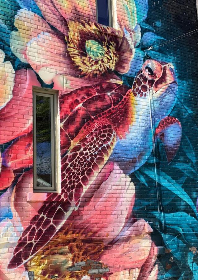 Sea Turtle – Graffiti Lux Art & More