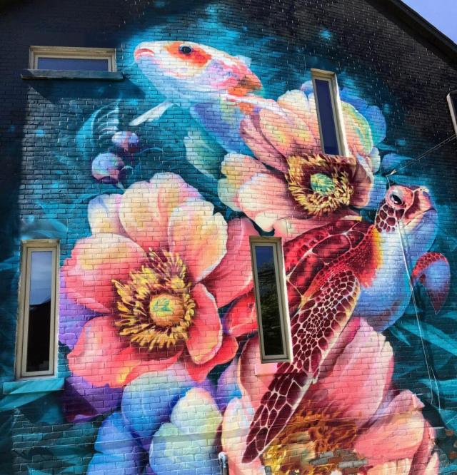 Sea Turtle – Graffiti Lux Art & More