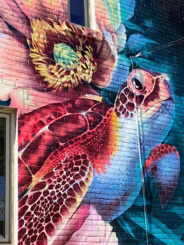Sea Turtle – Graffiti Lux Art & More