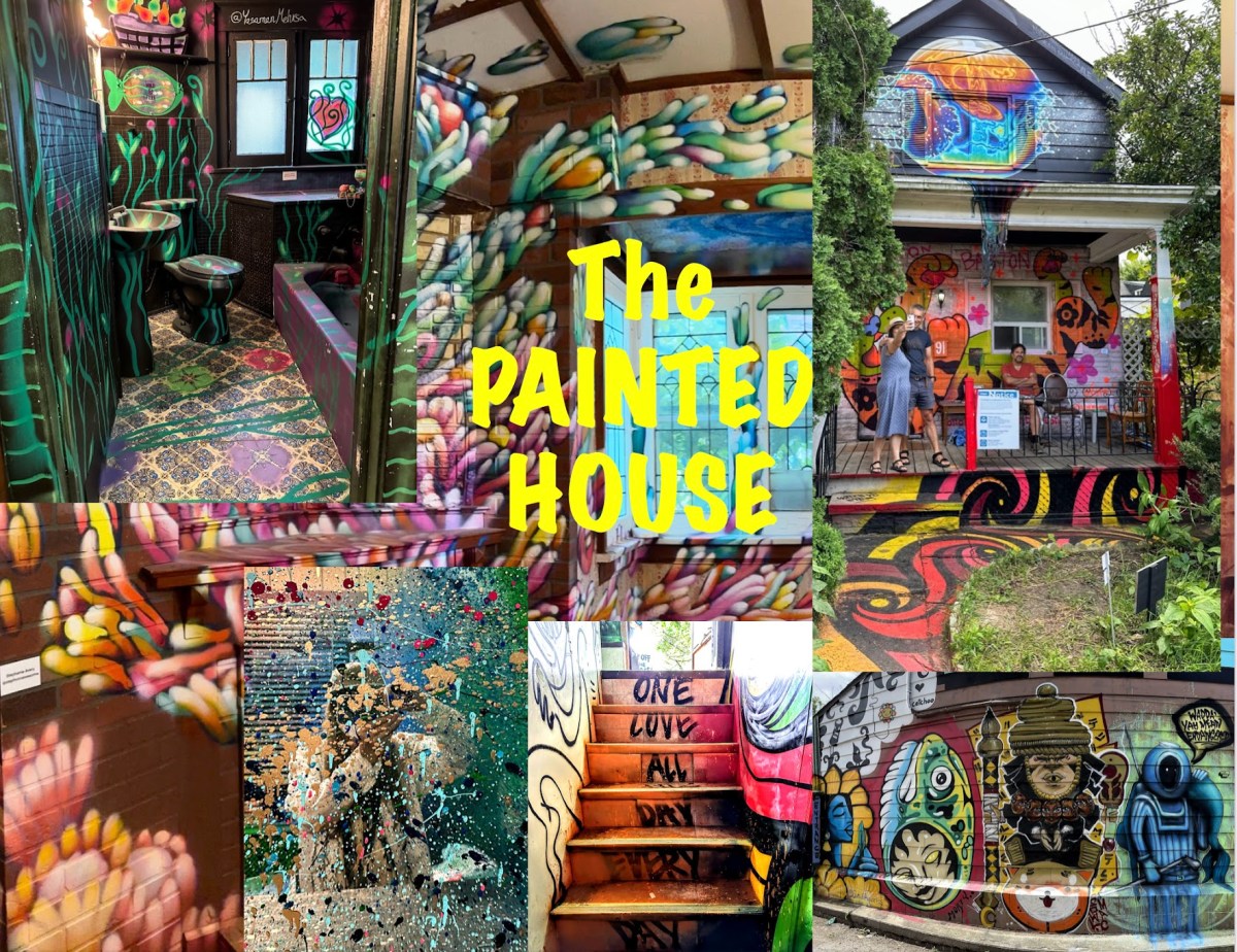 Backyard – The Painted House – Graffiti Lux Art & More