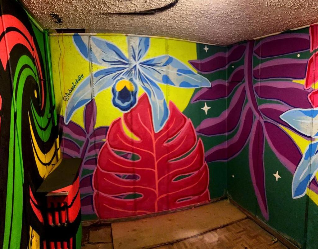Basement – The Painted House – Graffiti Lux Art & More